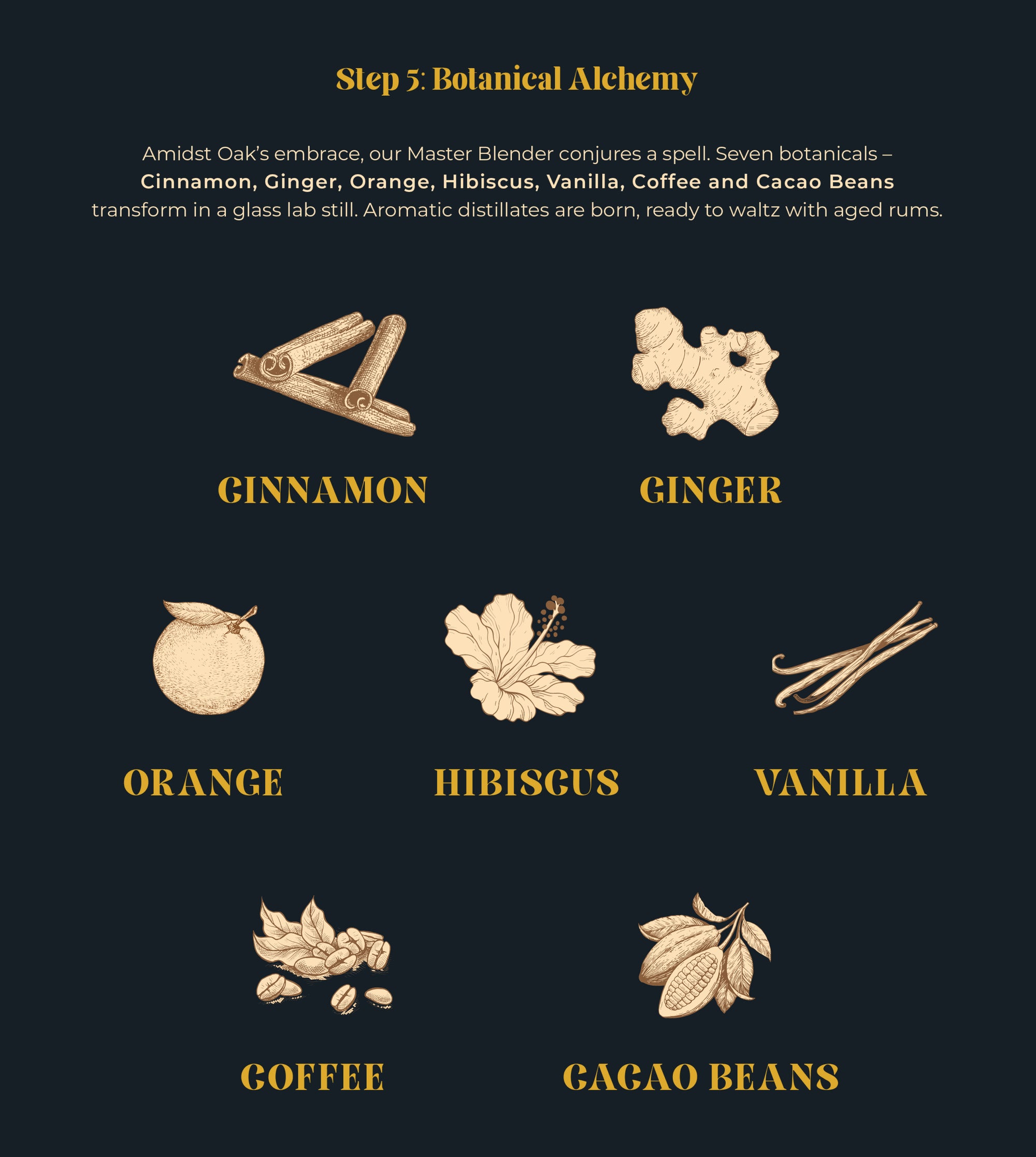 SPICED RUM – SĪTÄRĀ - INDIAN CRAFT RUM(SPACEMAN SPIRITS LAB PRIVATE ...